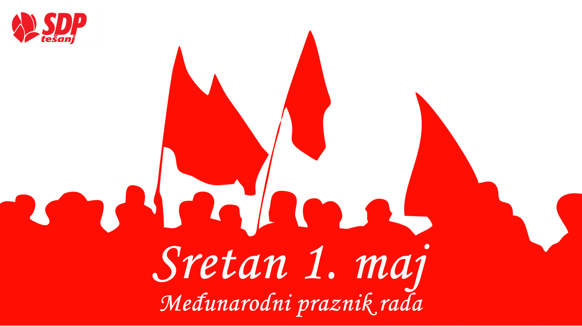 Socijaldemokratska partija Bosne i Hercegovine